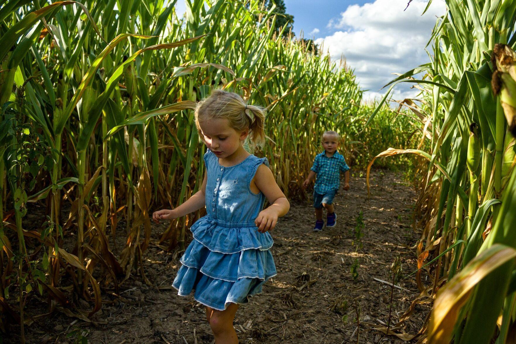 Ball’s Falls Thanksgiving Festival returns to Niagara