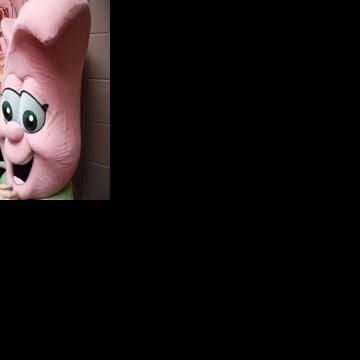 Welland Rose Festival parade coming back to downtown