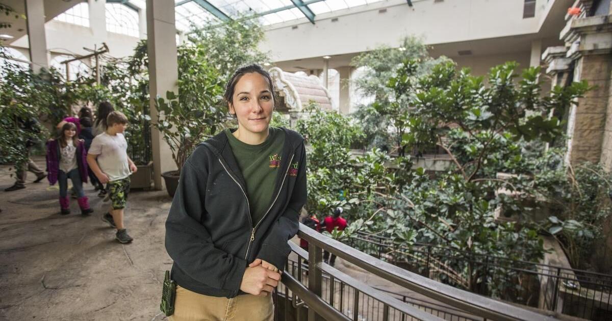 Poultry farmers, Niagara Falls birds attraction on alert after avian ...