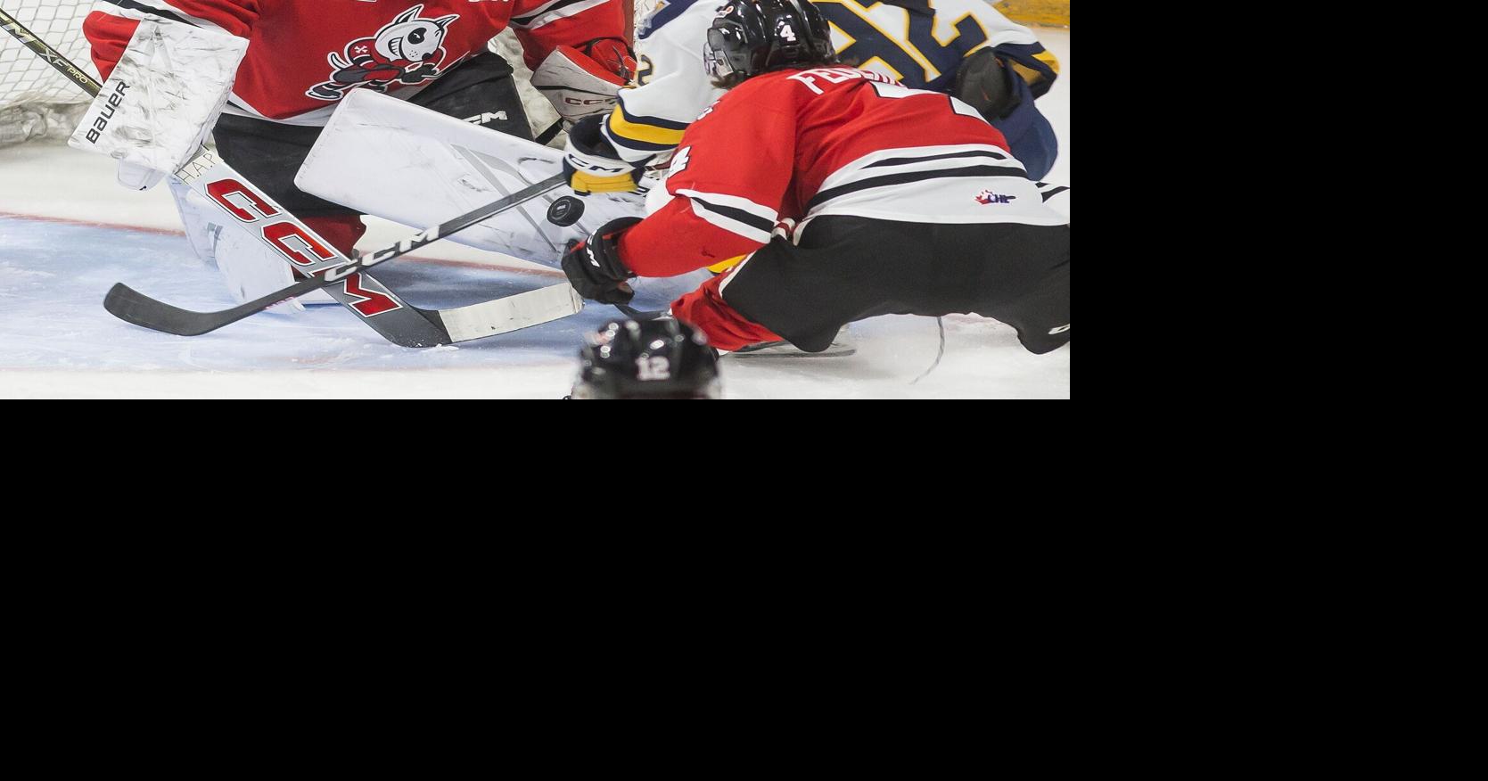 Niagara IceDogs-Erie Otters OHL game recap