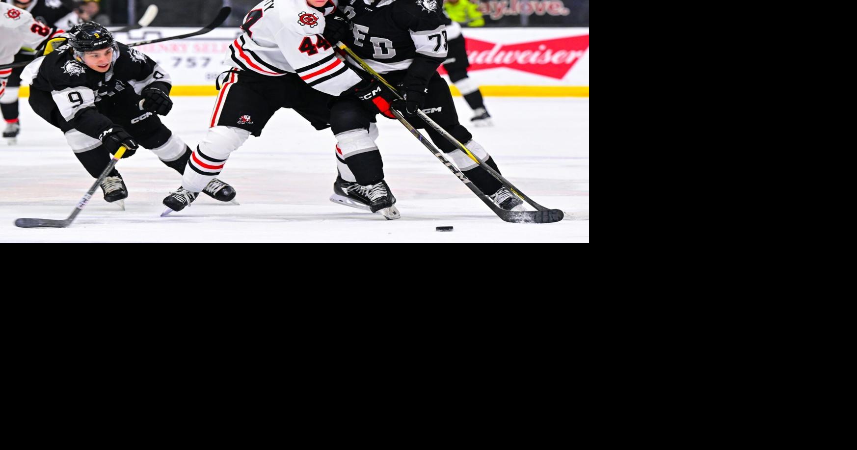 Niagara IceDogs-Brantford Bulldogs OHL game recap