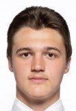 Niagara IceDogs-Guelph Storm OHL game recap