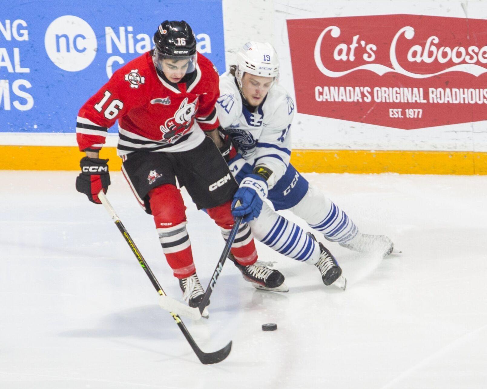 IceDogs like goaltending tandem heading into new season