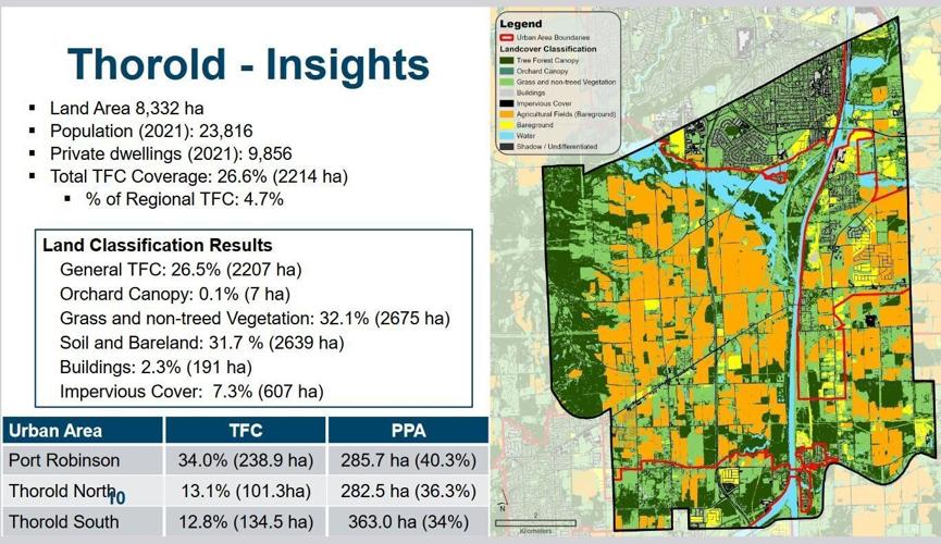 Ground-breaking NIagara project puts our forests on the map