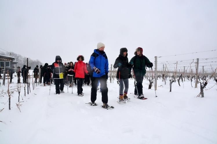 Blue Monday 2026: Expert Tips to Beat the January Blues