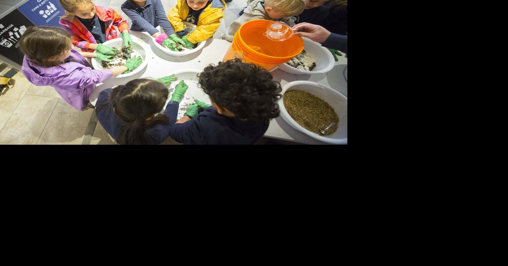Niagara Earth Day photos