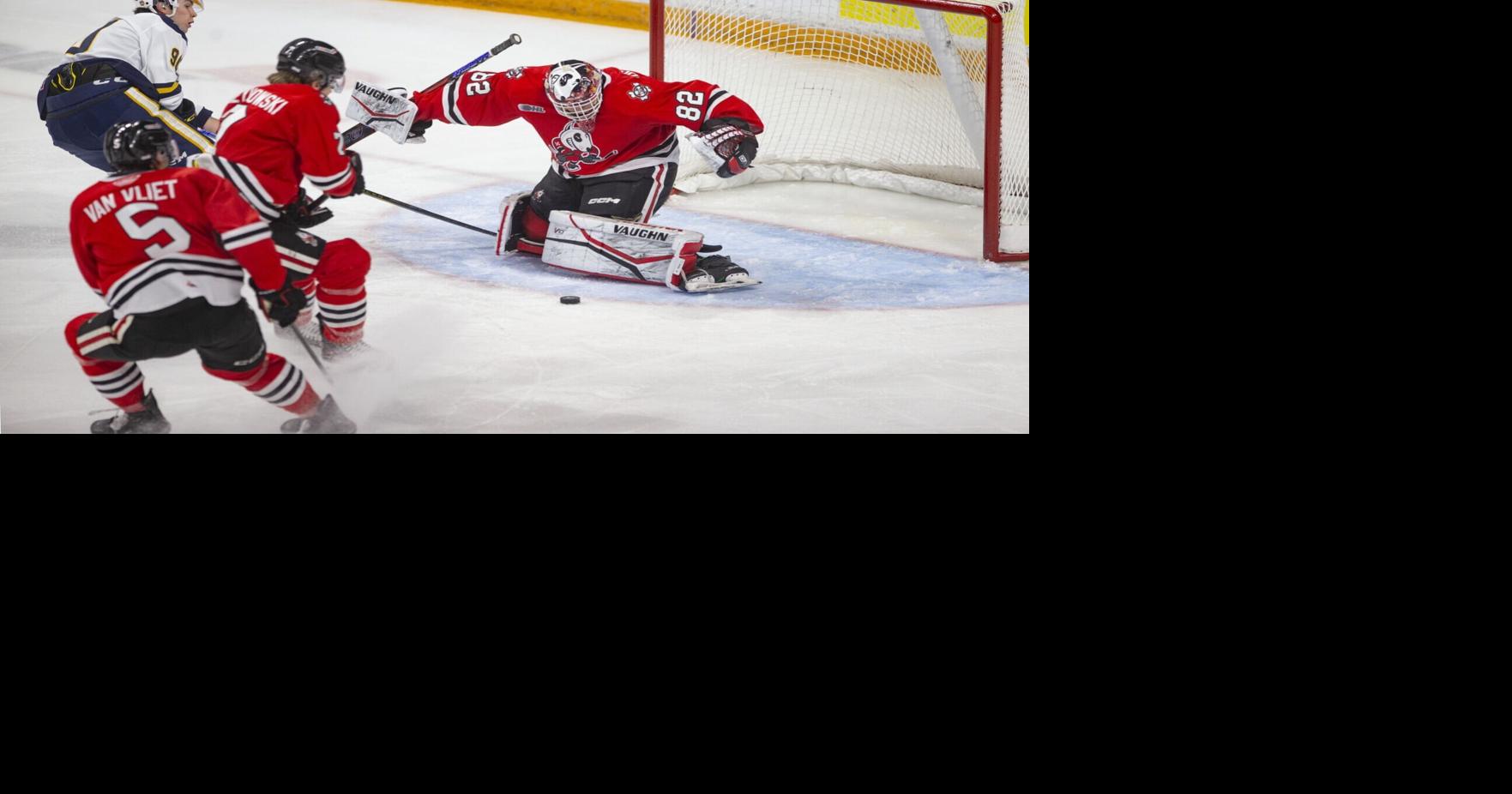 Niagara IceDogs-Erie Otters OHL game recap