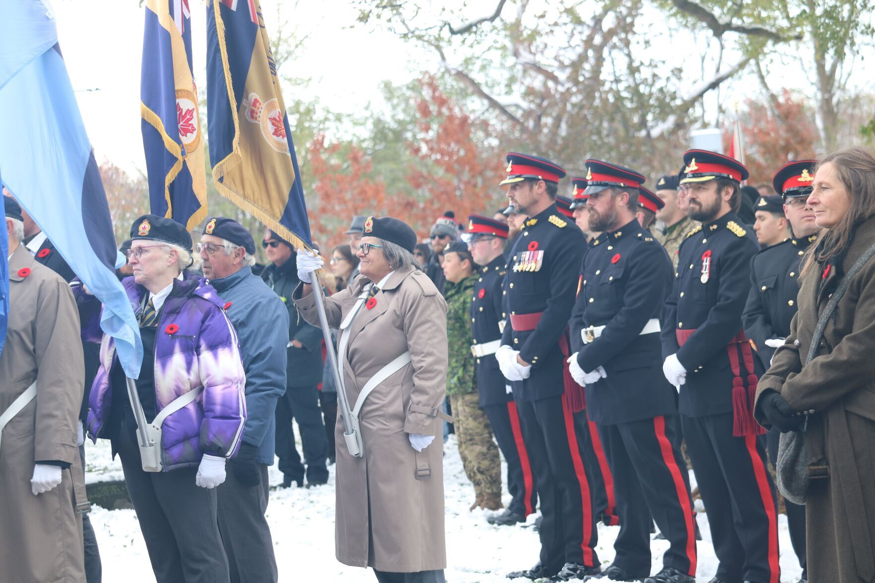 Poppies blow across Niagara snow on a white Remembrance Day
