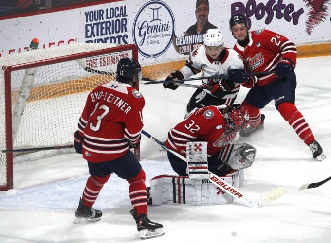 Niagara IceDogs enter new year with four-game win streak