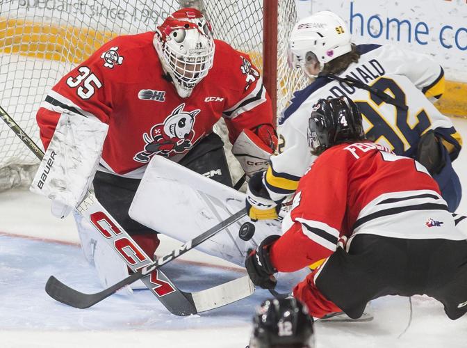 Niagara IceDogs-Erie Otters OHL game recap