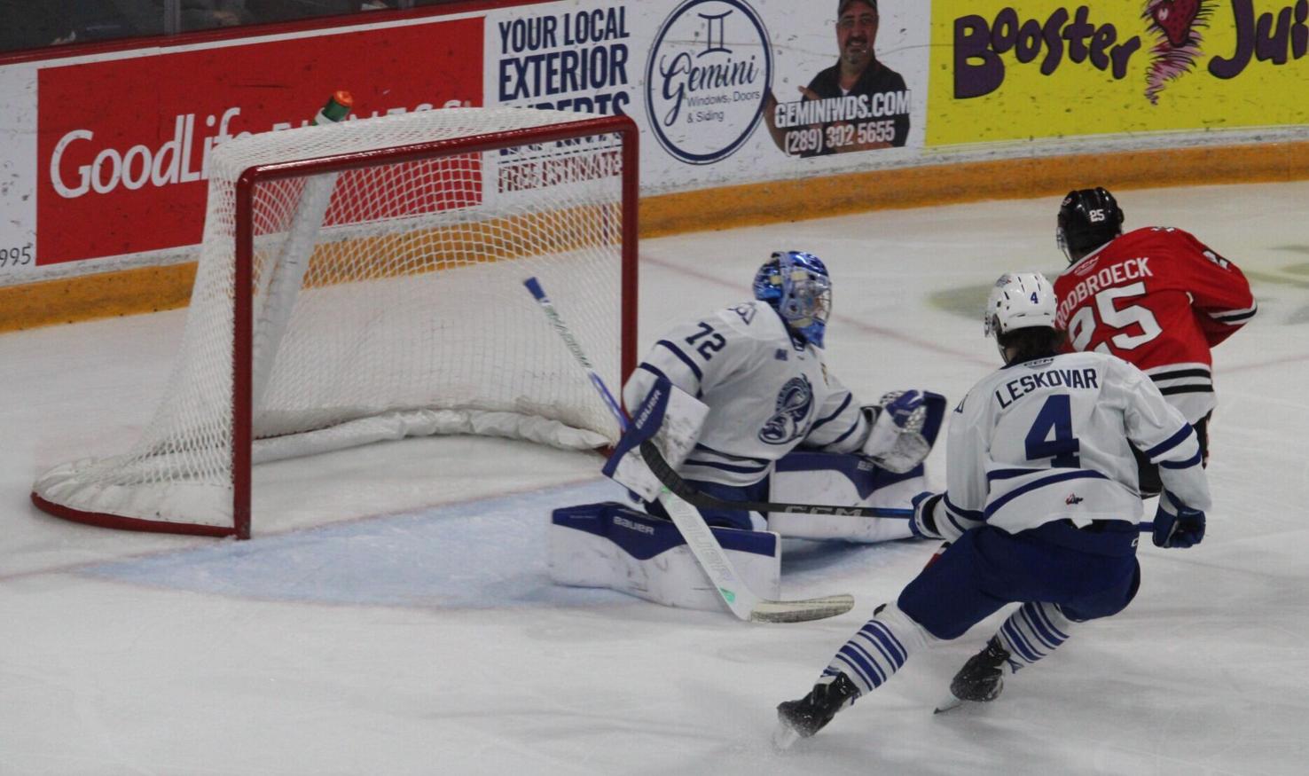 Niagara IceDogs-Brampton Steelheads OHL game recap