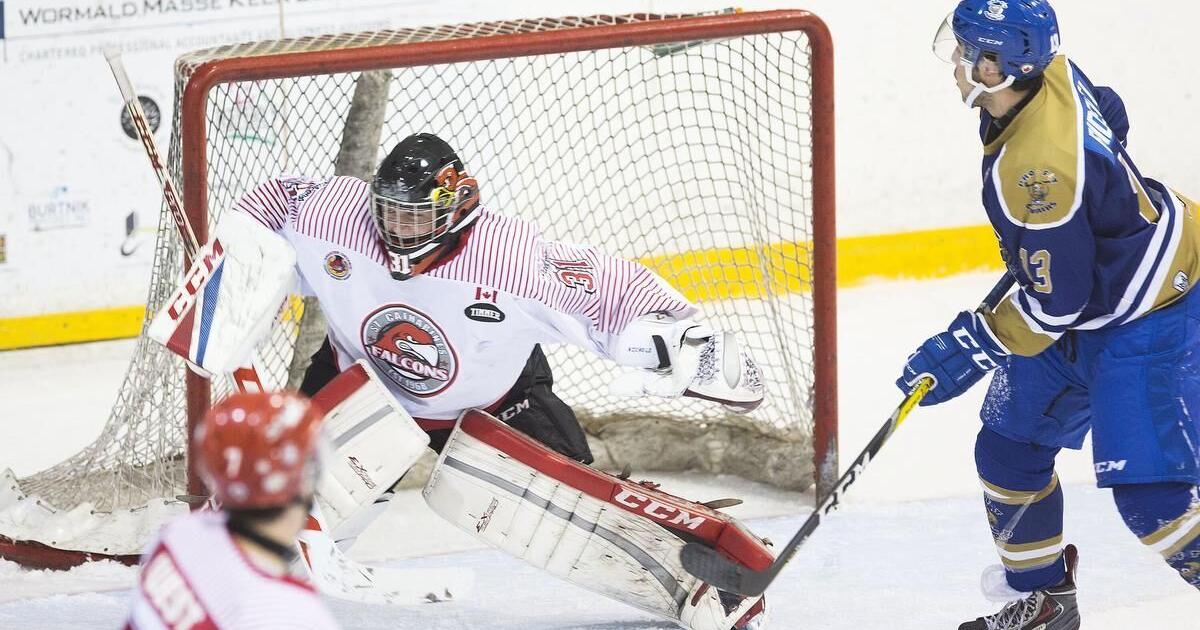 Former Falcons invited to Montreal Canadiens development camp