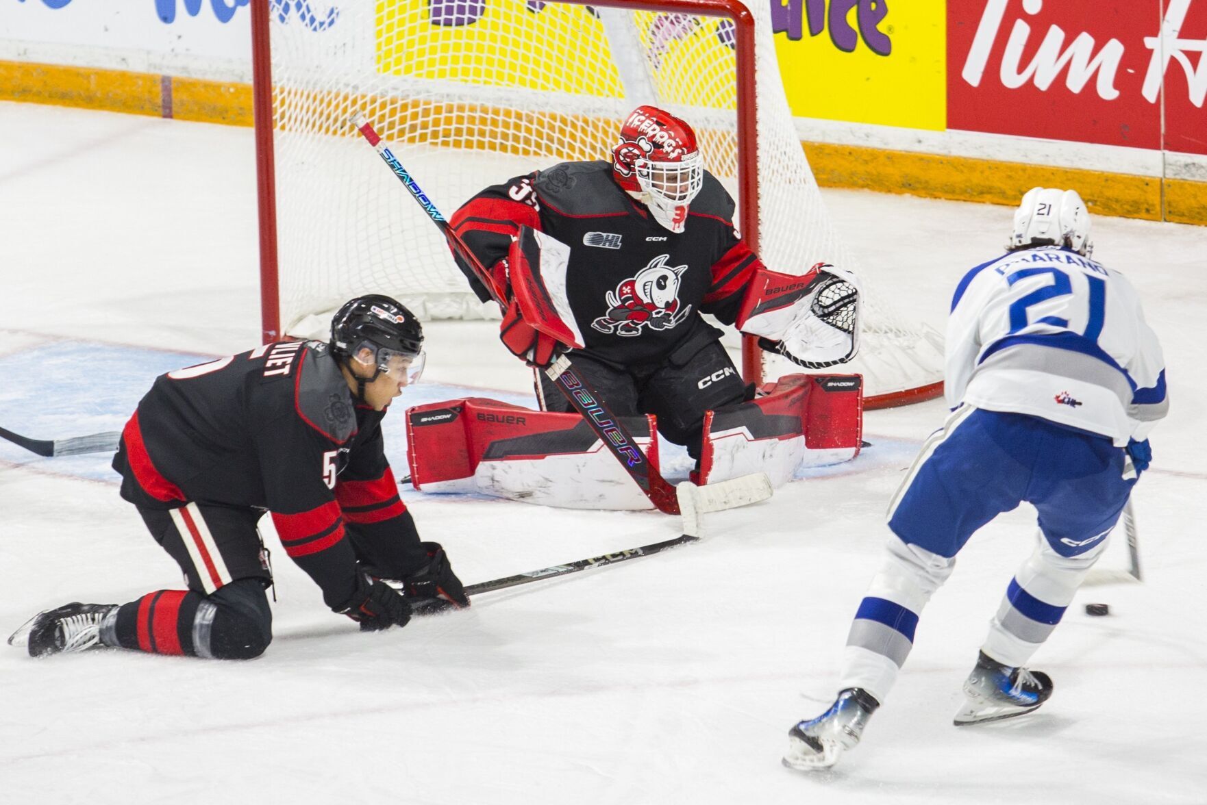 Niagara IceDogs-Kitchener Rangers OHL game recap
