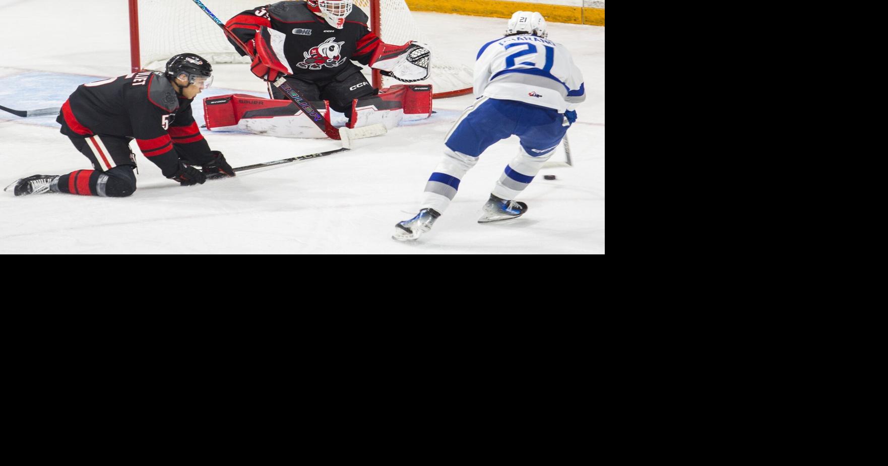 Niagara IceDogs-Kitchener Rangers OHL game recap