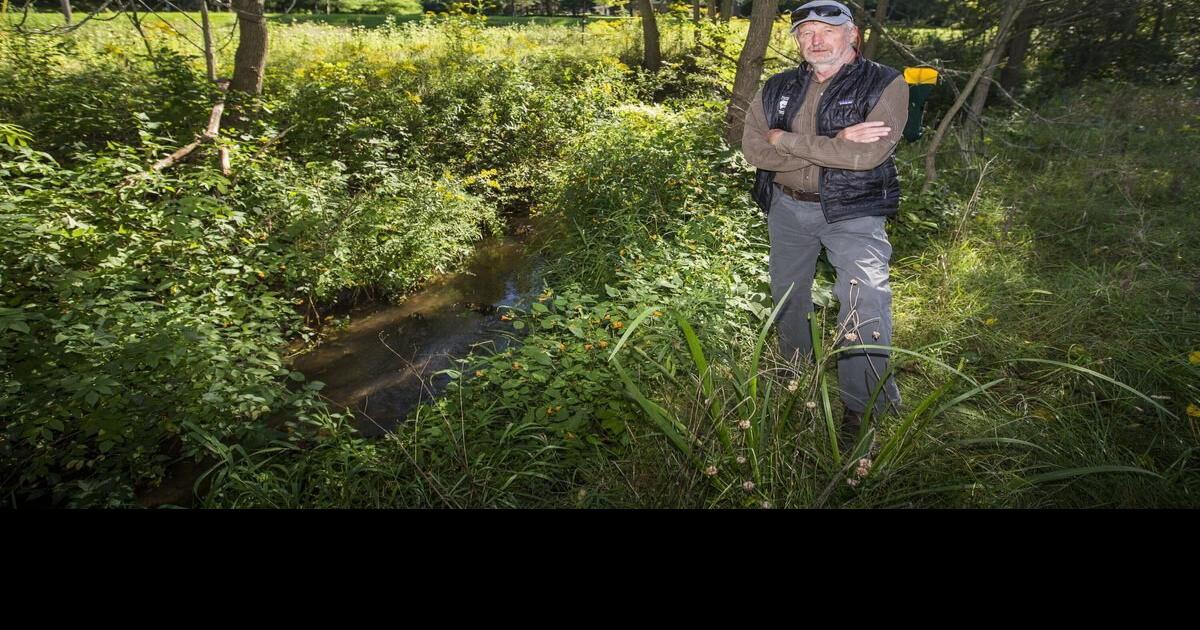 Trout Unlimited working to help trout populations rebound