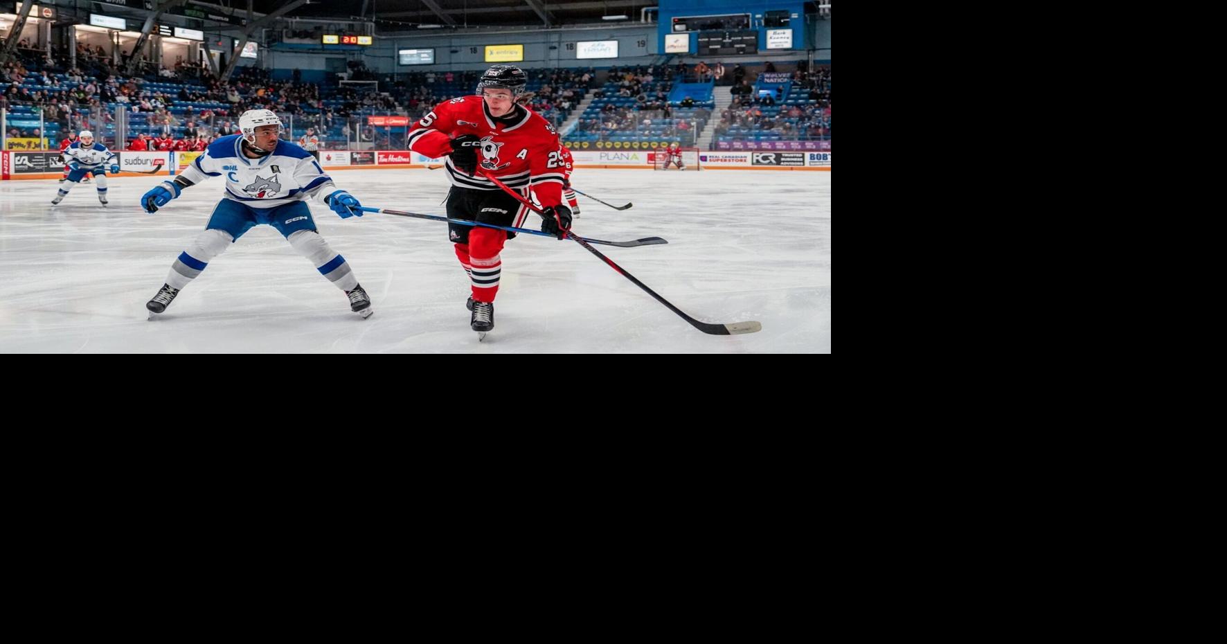 Niagara IceDogs weekend OHL recap