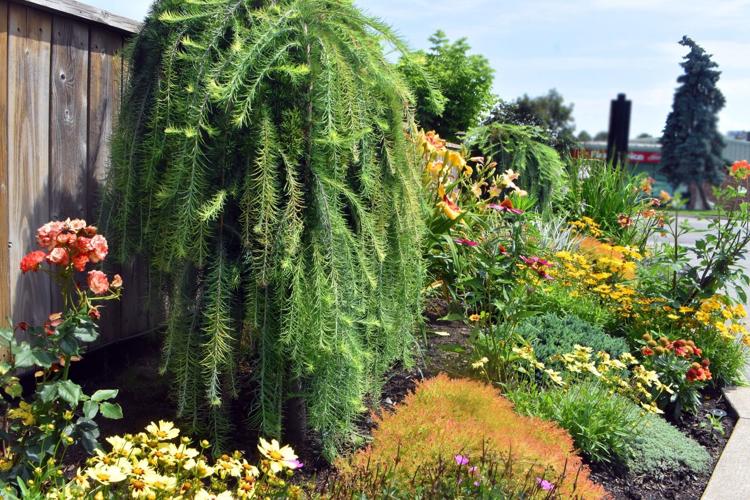 Beautification makes for good first impressions for business