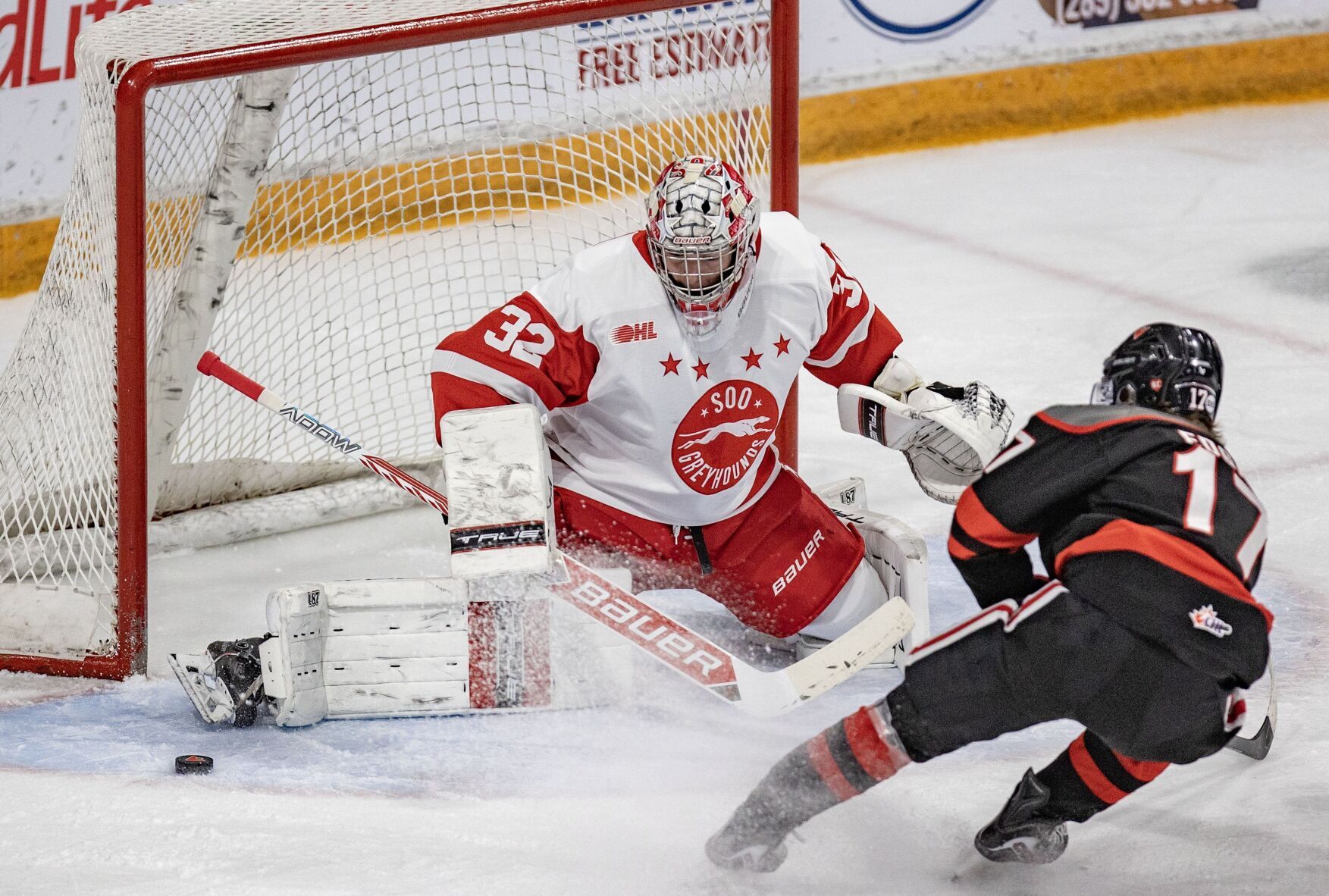 Niagara IceDogs end So Greyhounds’ eight-game win streak