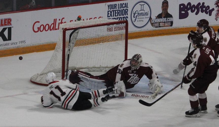 Niagara IceDogs went winless in November with 0-9 record
