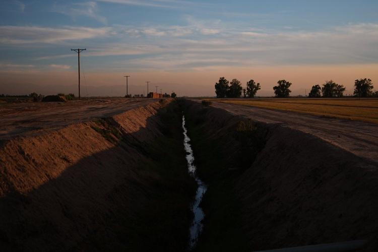 No motive revealed in killing of prominent California farmer's ...