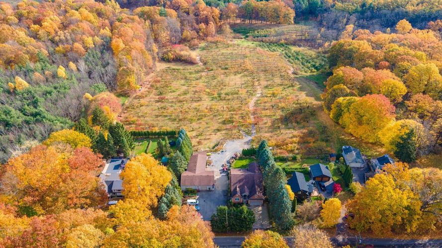 Renowned Fonthill cherry farm on the market for $3.1 million
