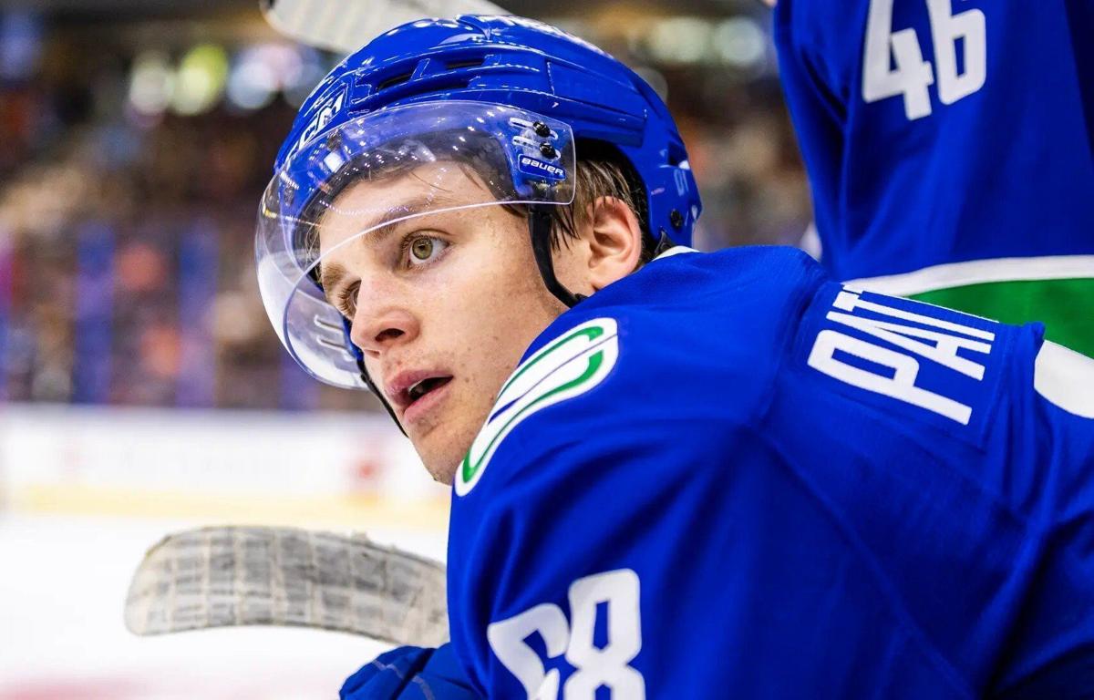 Two Niagara IceDogs forwards singled out for praise