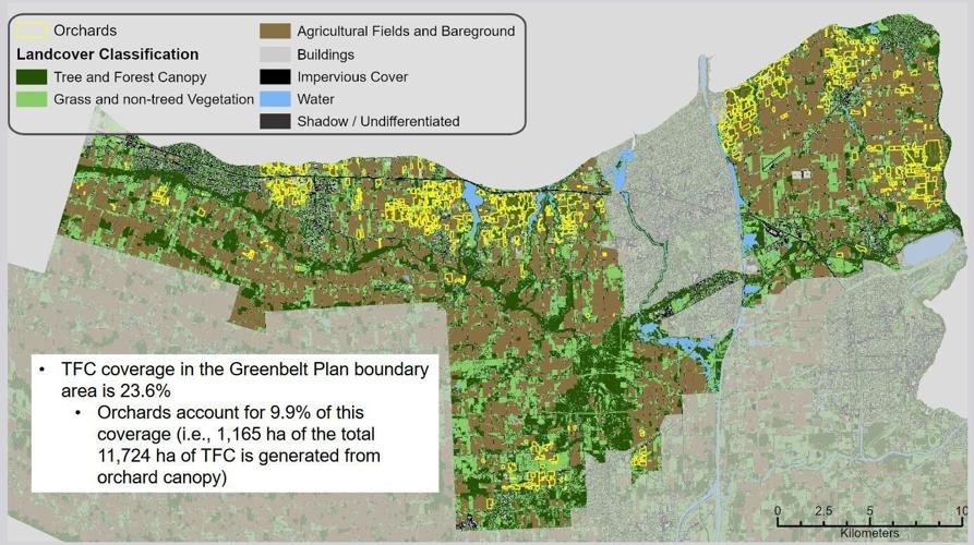 Ground-breaking NIagara project puts our forests on the map