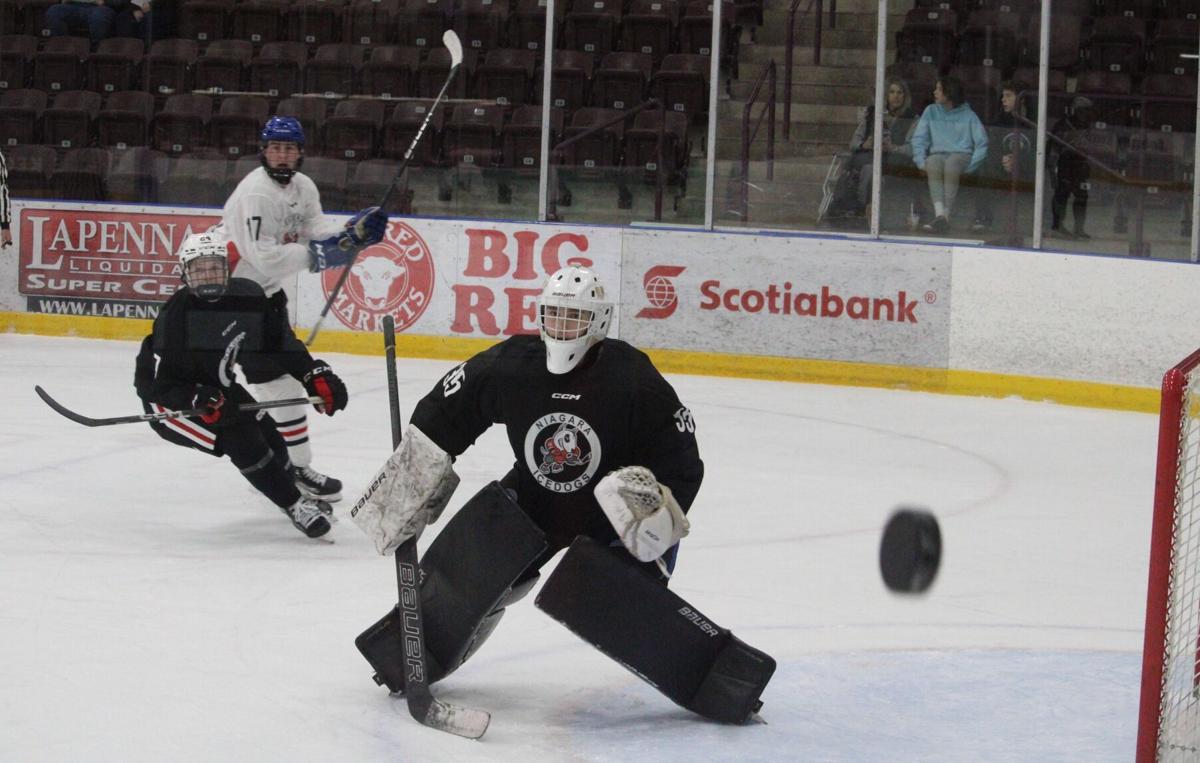 Niagara IceDogs invite prospects to showcase camp