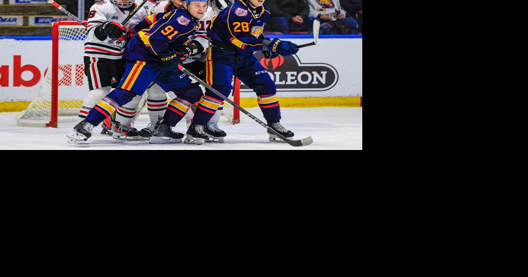 Niagara IceDogs eliminated from OHL playoffs