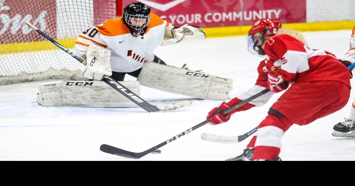 Ridley Tigers earn their stripes in hockey, soccer and rowing