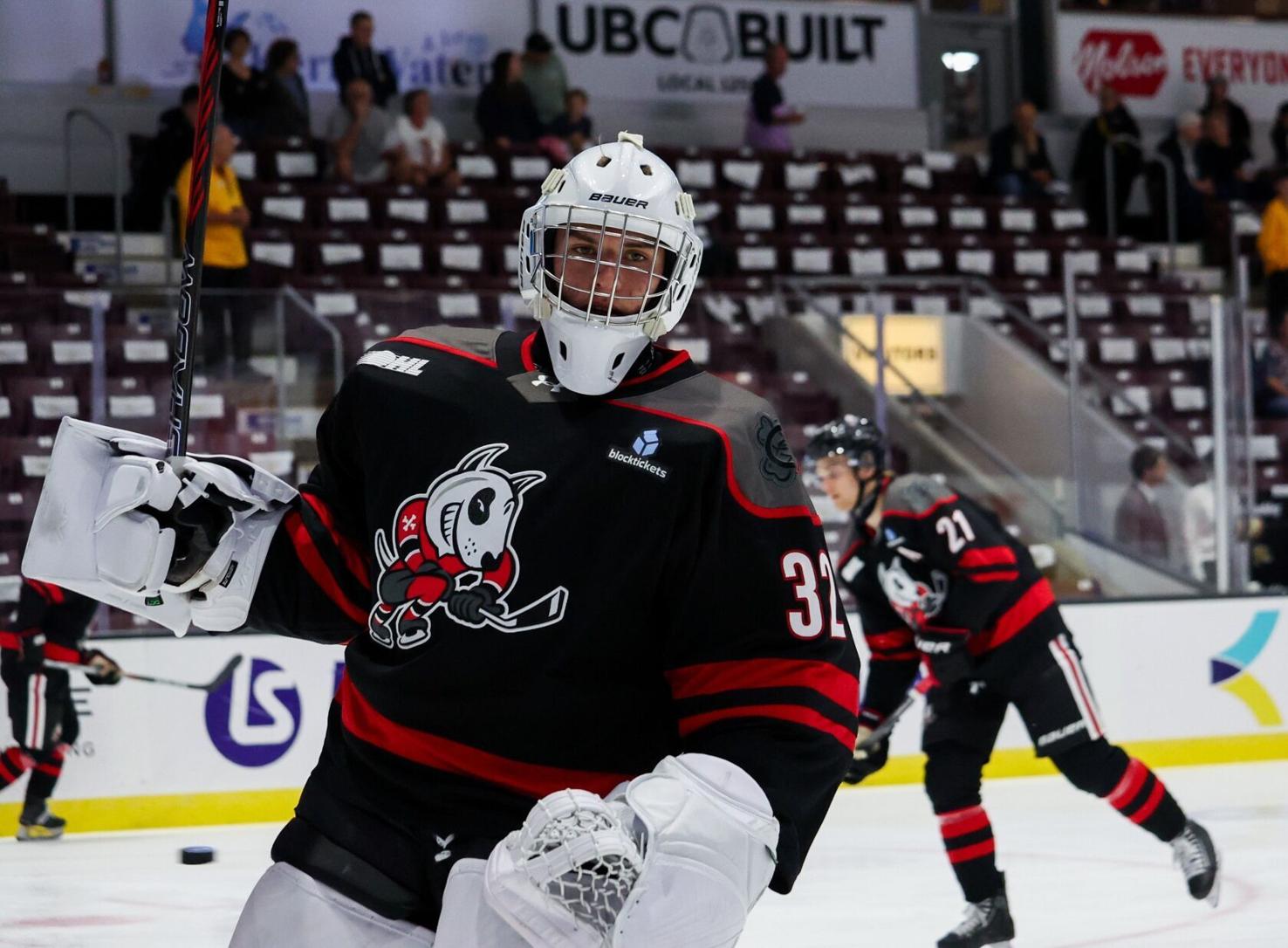 Niagara IceDogs fall to seventh in OHL power rankings