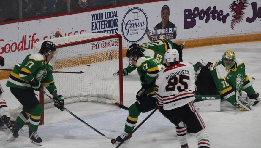 IceDogs excel on soecial teams in win over London Knights