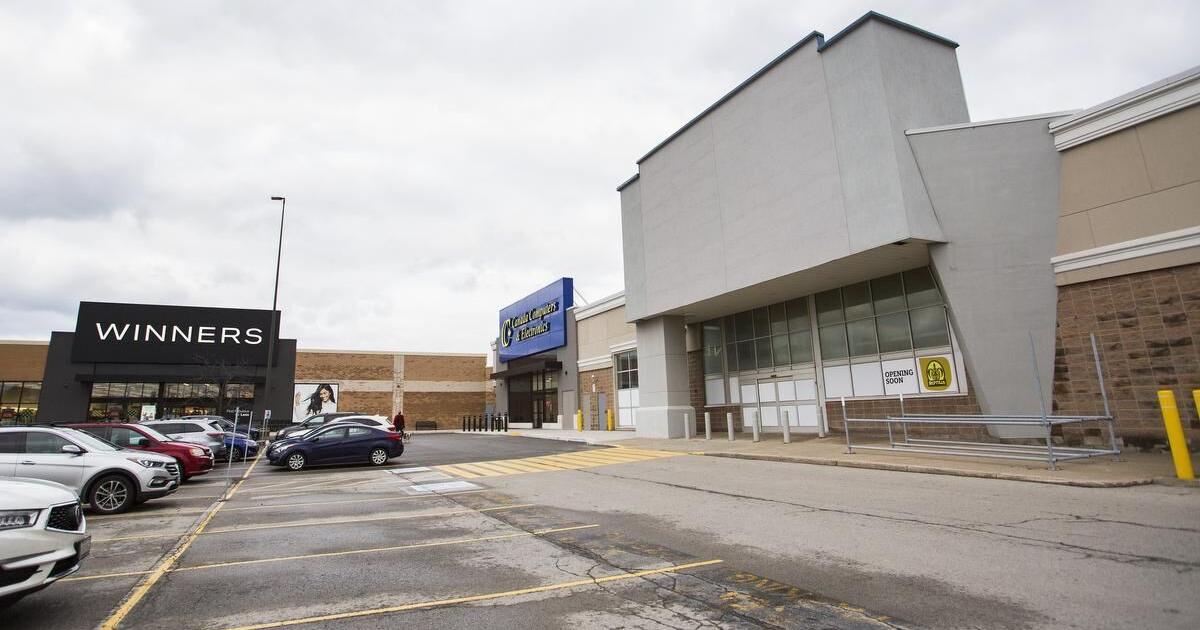 Mall reptile zoo plan back on St. Catharines agenda