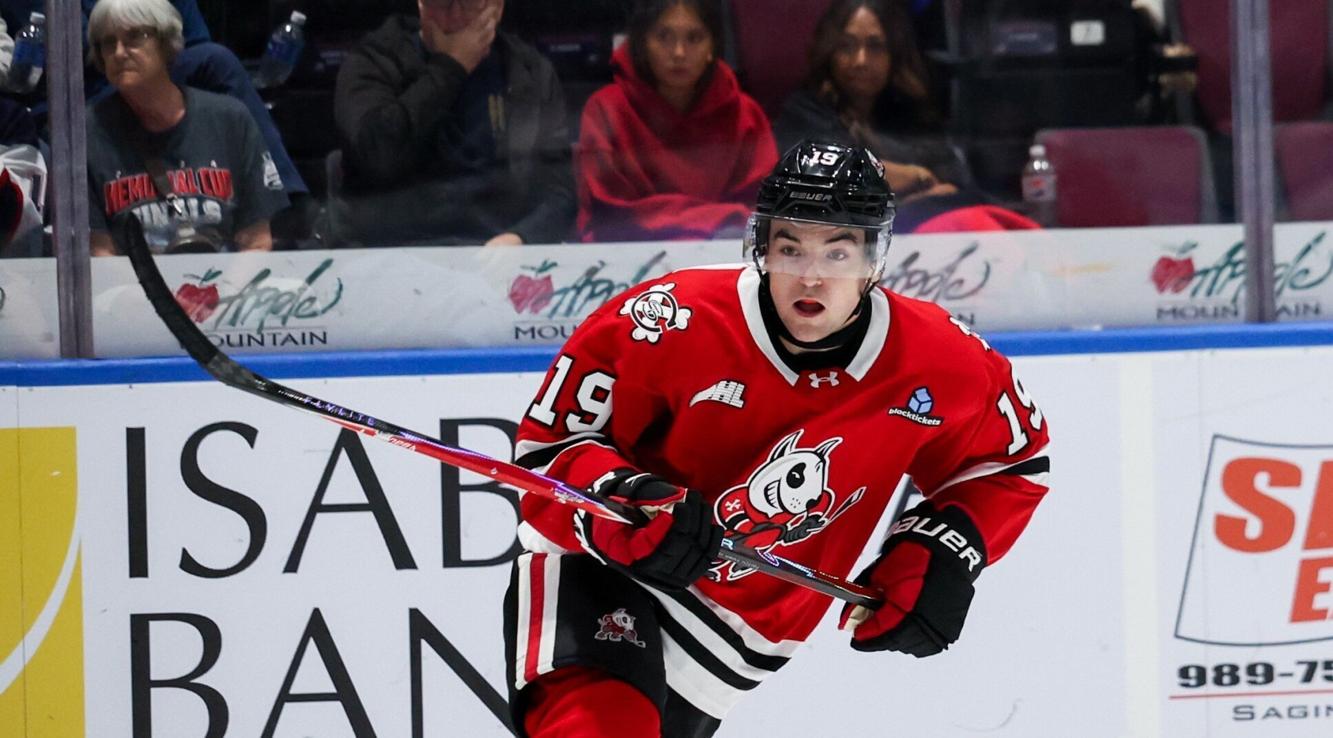 Niagara IceDogs earn three of four points on weekend