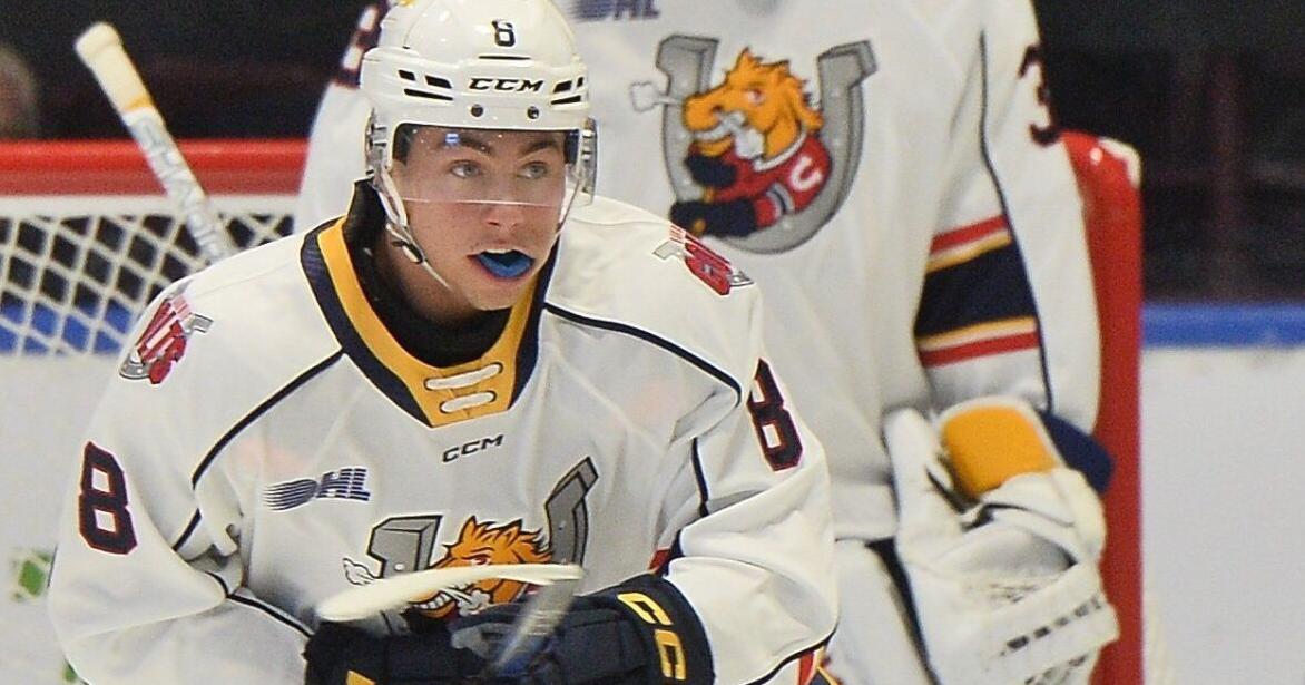 Niagara IceDogs send Alex Assadourian, draft pick to Barrie