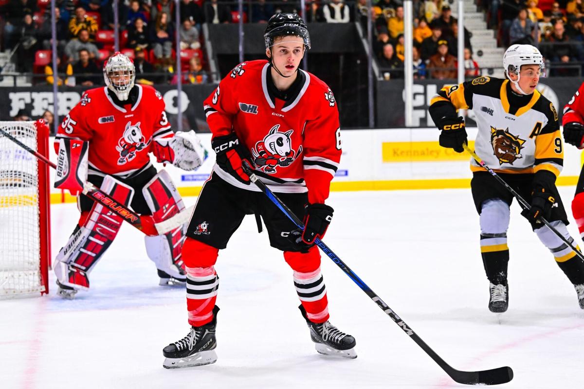 Four Niagara IceDogs attend NHL development camps