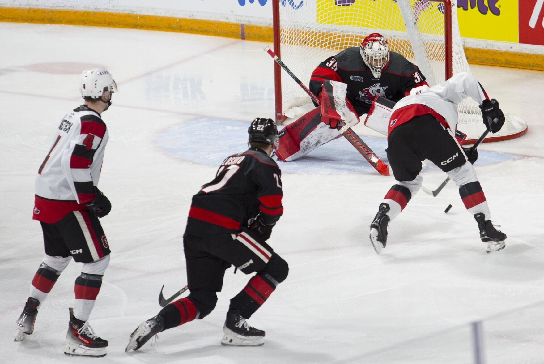 Niagara IceDogs-Ottawa 67’s OHL game recap