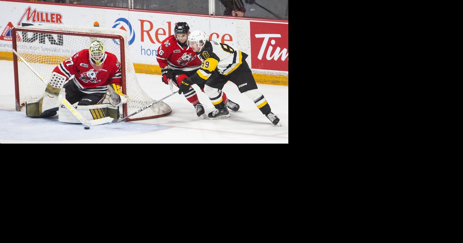Niagara IceDogs start OHL season with a 3-1 record
