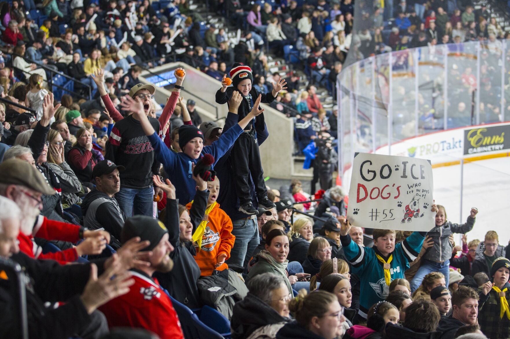 Niagara IceDogs-Kitchener Rangers OHL game recap