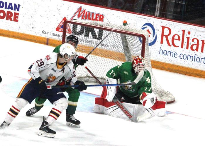 Niagara IceDogs blank Barrie Colts