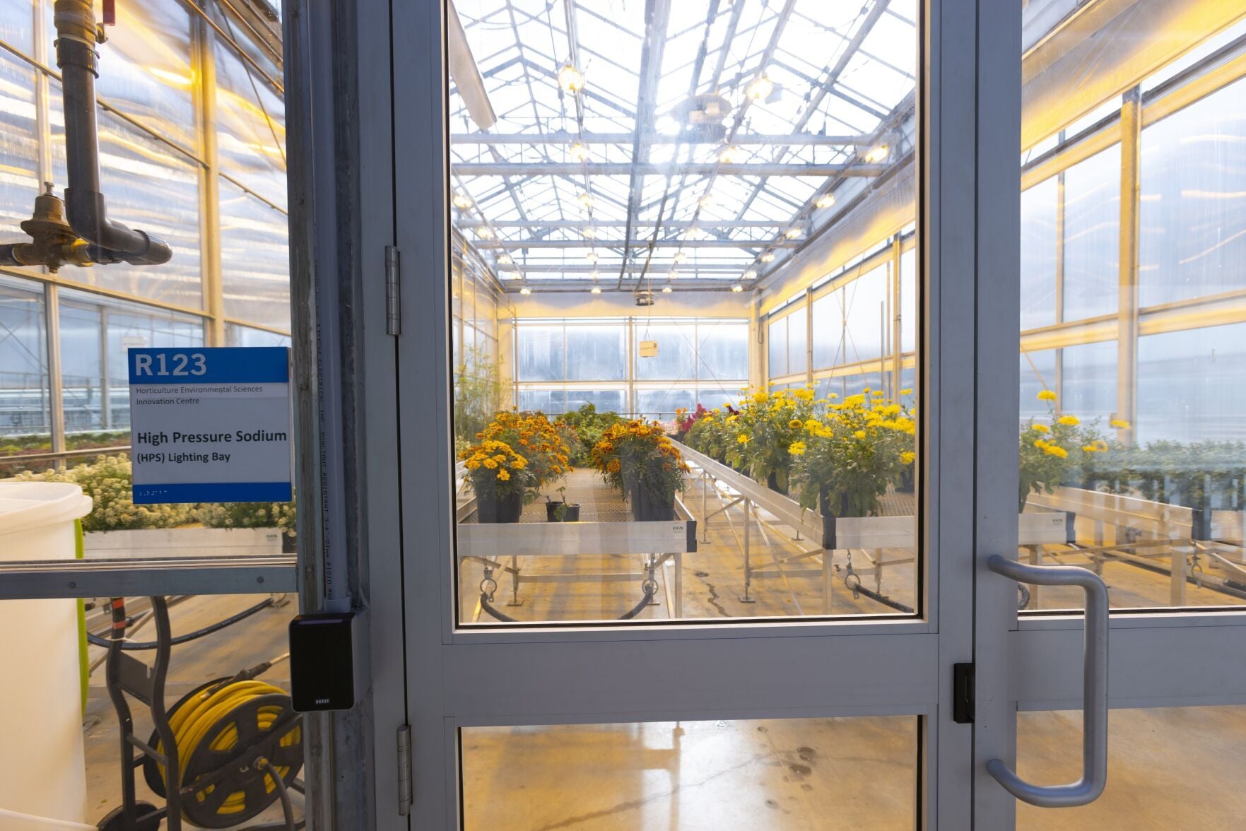 Niagara College greenhouse a ‘playground for plant nerds’
