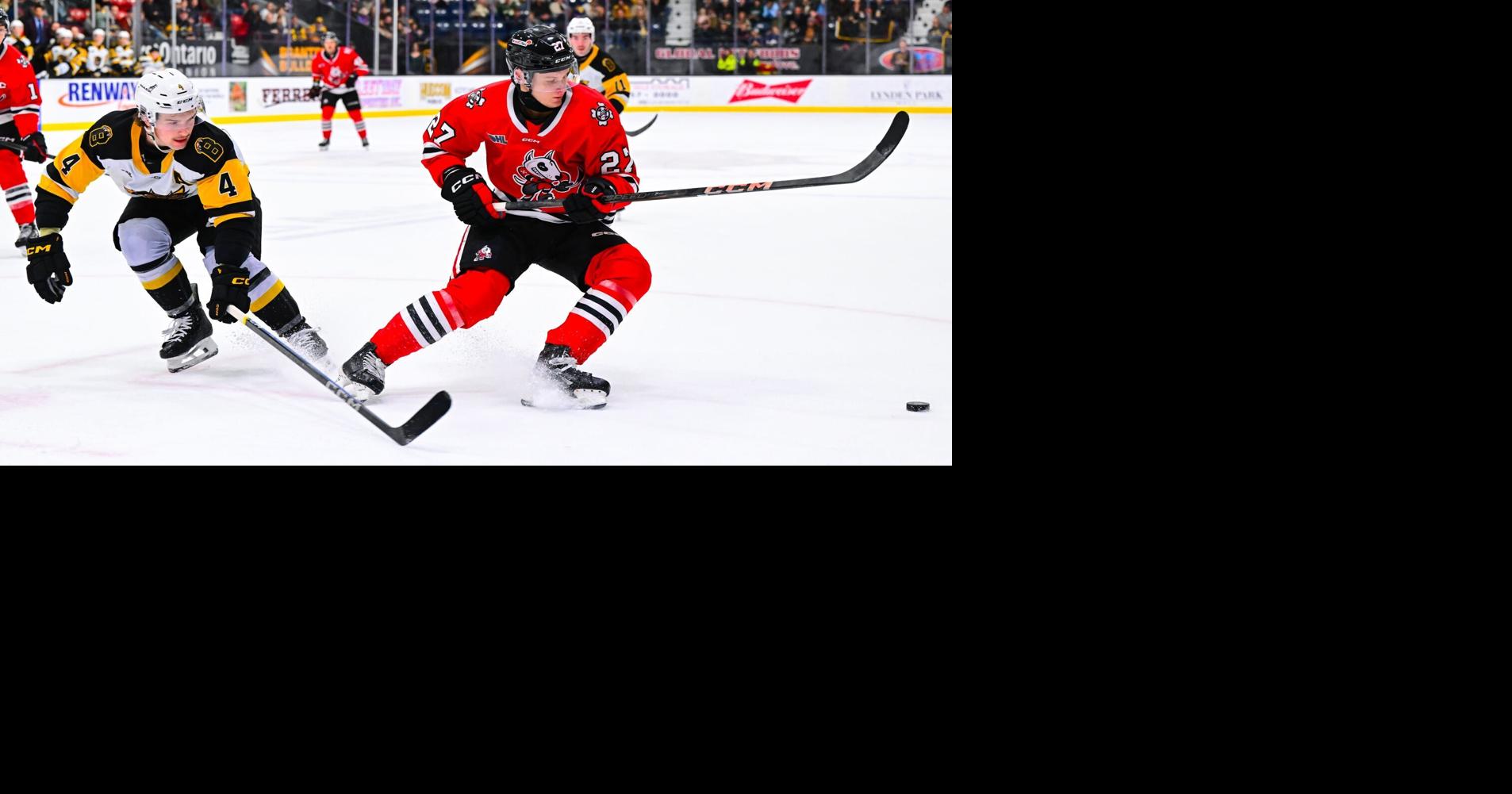 Niagara IceDogs-Soo Greyhounds OHL game recap