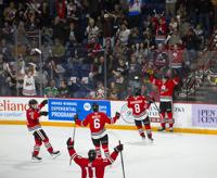 Niagara IceDogs 2027 Memorial Cup bid by endorsed by city