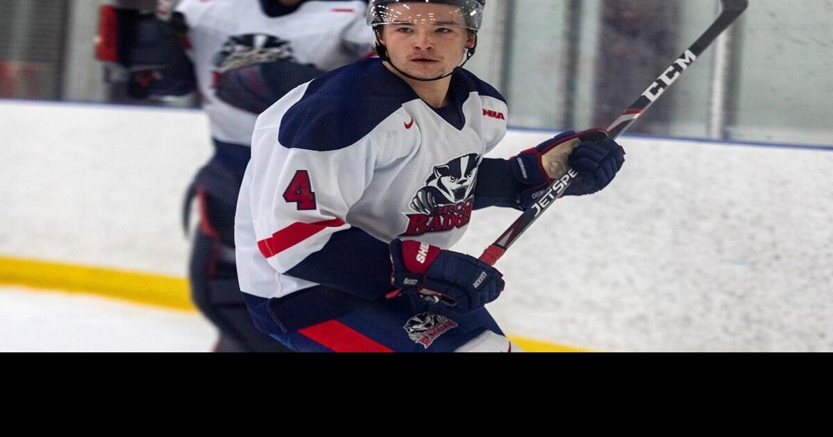 One-time IceDogs graduate to university hockey