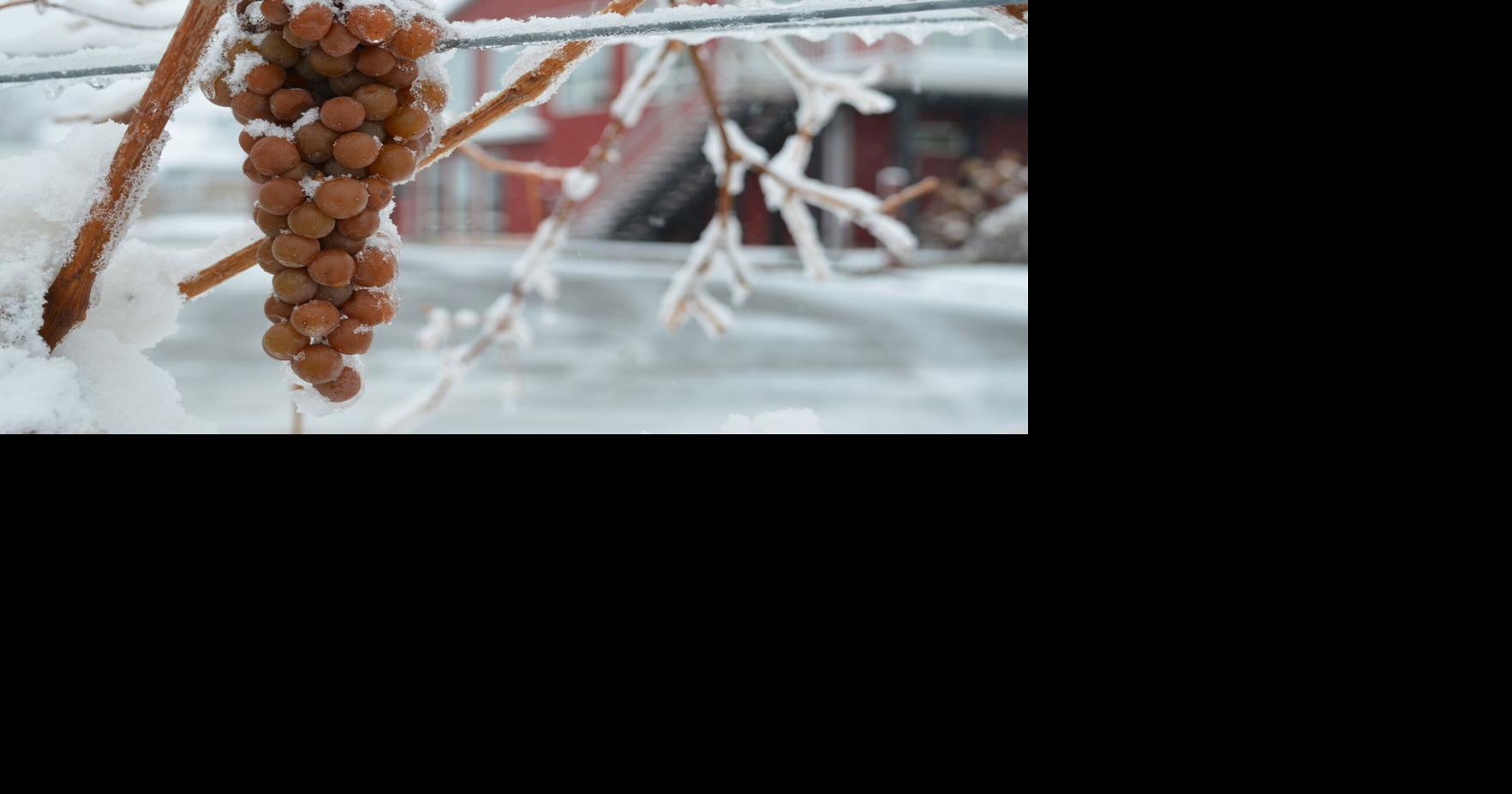 Celebrating Niagara’s liquid gold