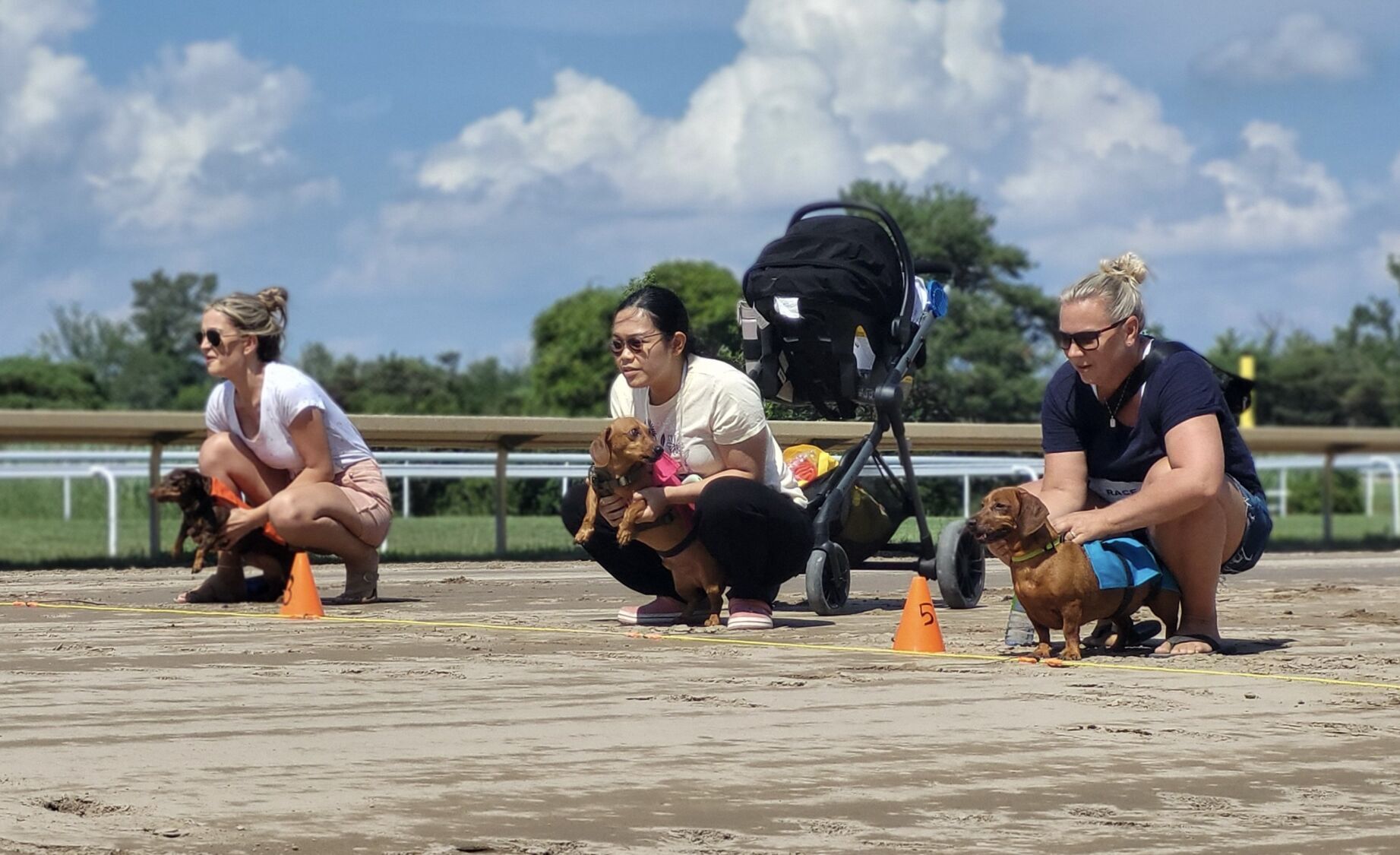 Best in Go: Wiener dog races at Fort Erie Race Track