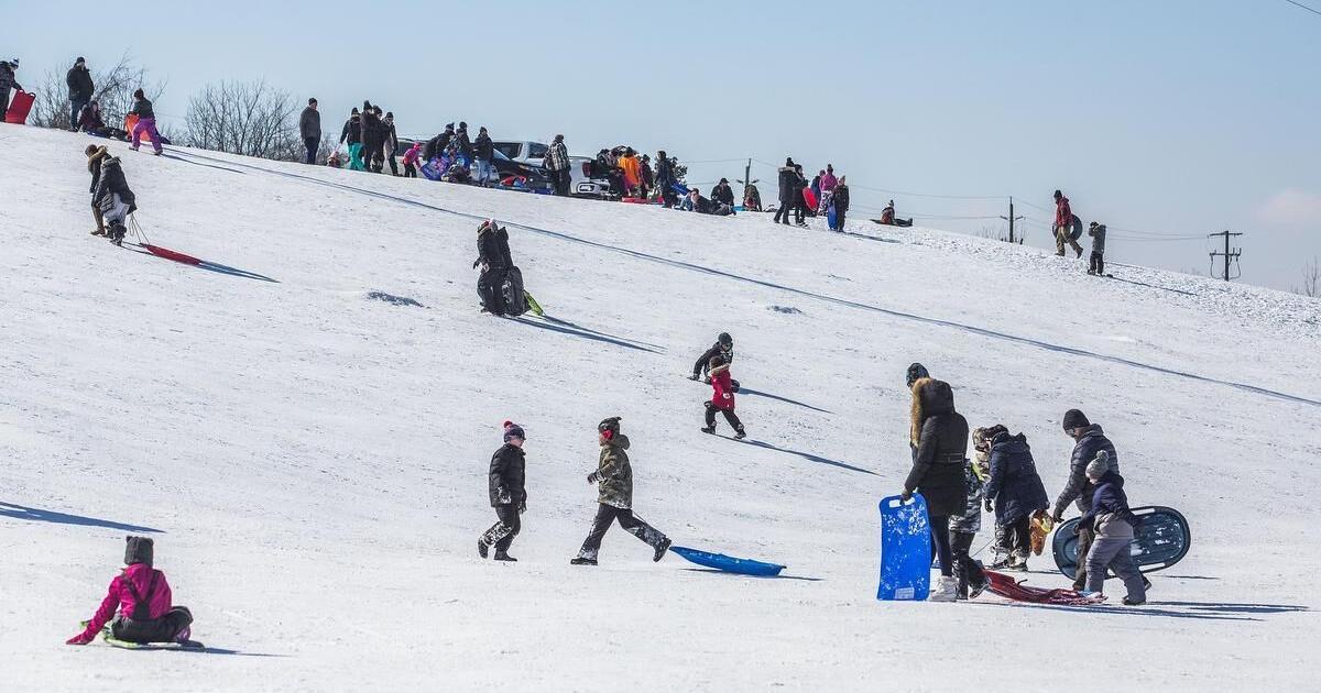 Photos: Sun, snow and sleds a canalside draw