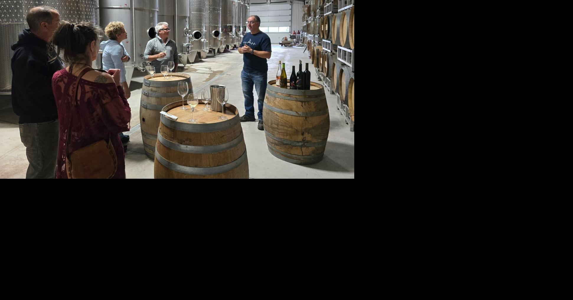 Fred Wines: Finding a personal voice in Niagara wine