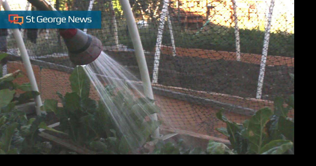 St. George officials ponder implementation of fines for residents who ...