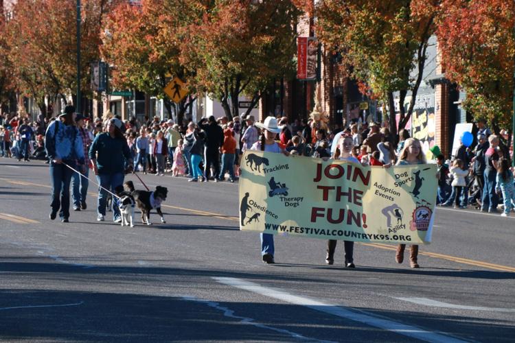 Hundreds of sheep parade down Cedar’s Main Street during livestock ...